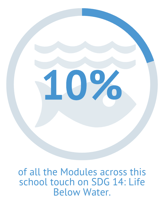 School of Geography and Sustainable Development – Visualising SDGs in the Curriculum